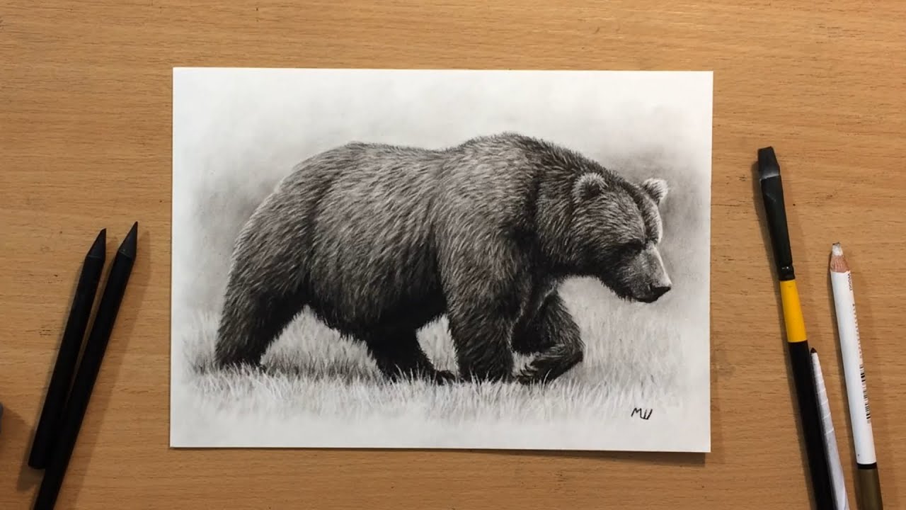 Beautiful Beasts of Nature: Cute Bear Drawings - Abirpothi