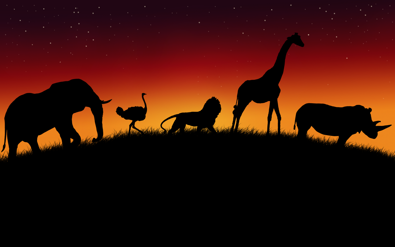 Exploring Top Zoos Around the World: A Wildlife Enthusiast's Guide ...