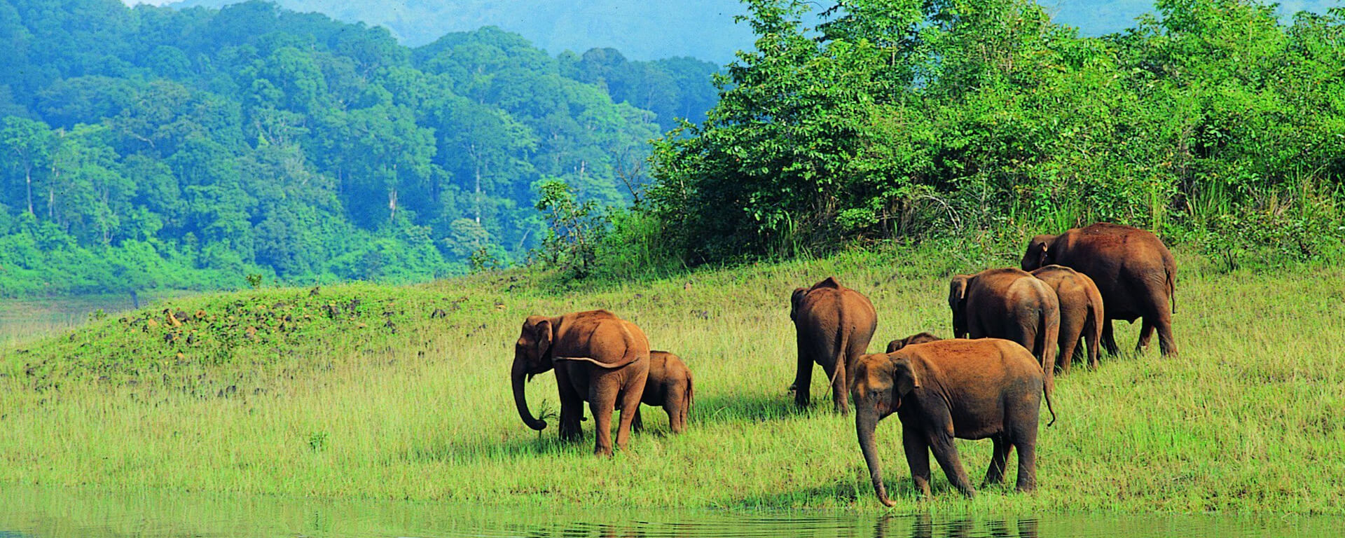 What to See at These 33 Wildlife Sanctuaries in India - Abirpothi