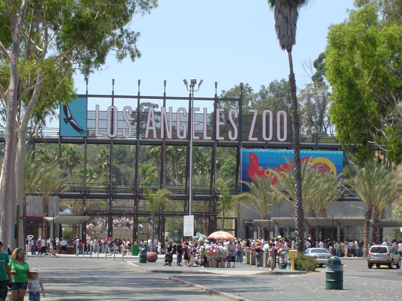 Exploring Top Zoos Around the World: A Wildlife Enthusiast's Guide ...