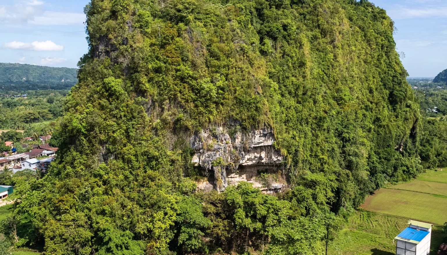 Oldest Figurative Cave Art Discovered On Sulawesi Island of Indonesia ...