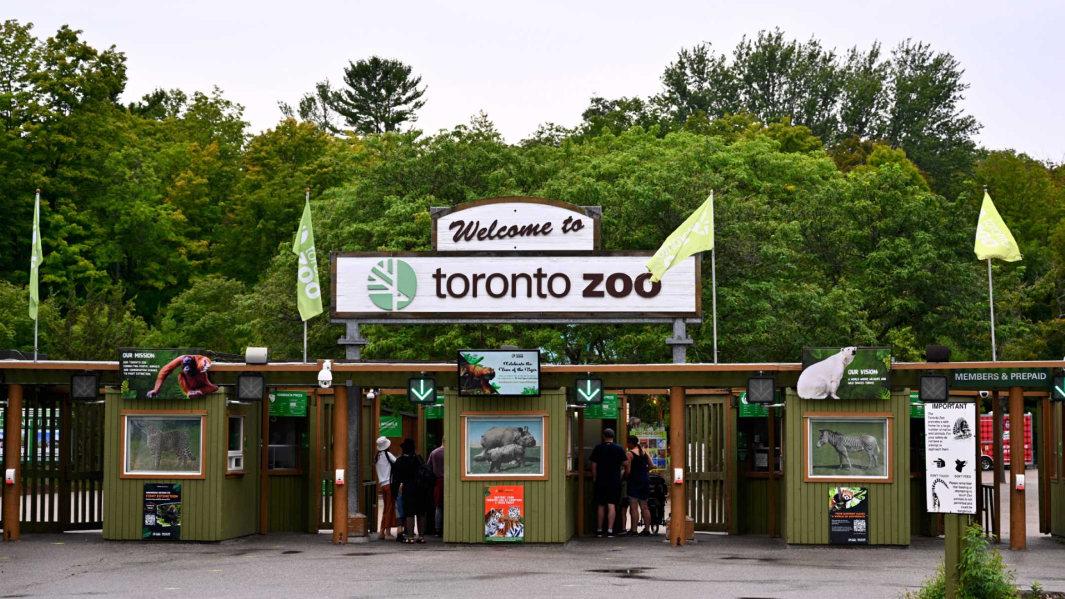 Exploring Top Zoos Around the World: A Wildlife Enthusiast's Guide ...
