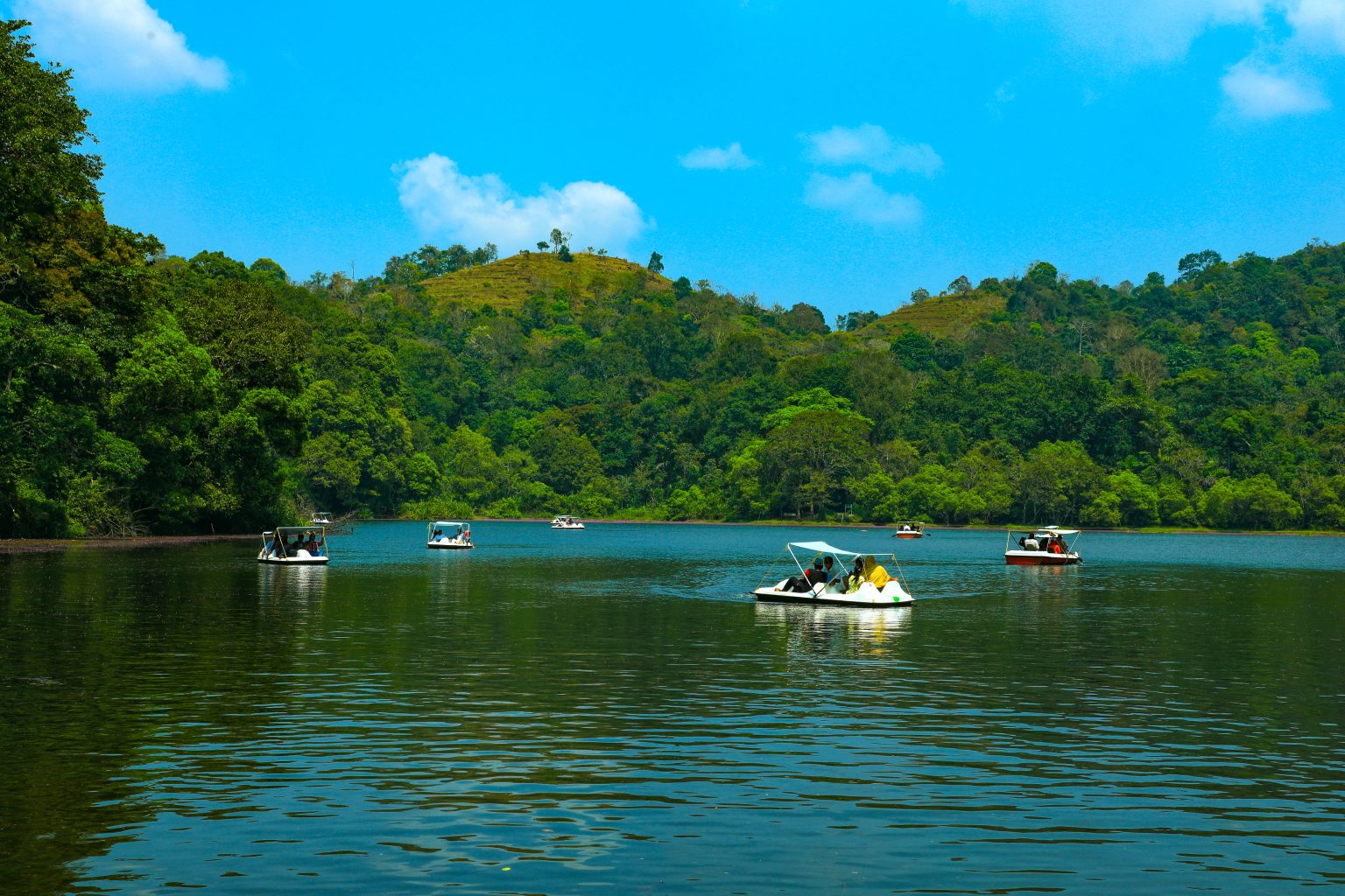 List of 20 Places To Visit In Wayand - Abirpothi
