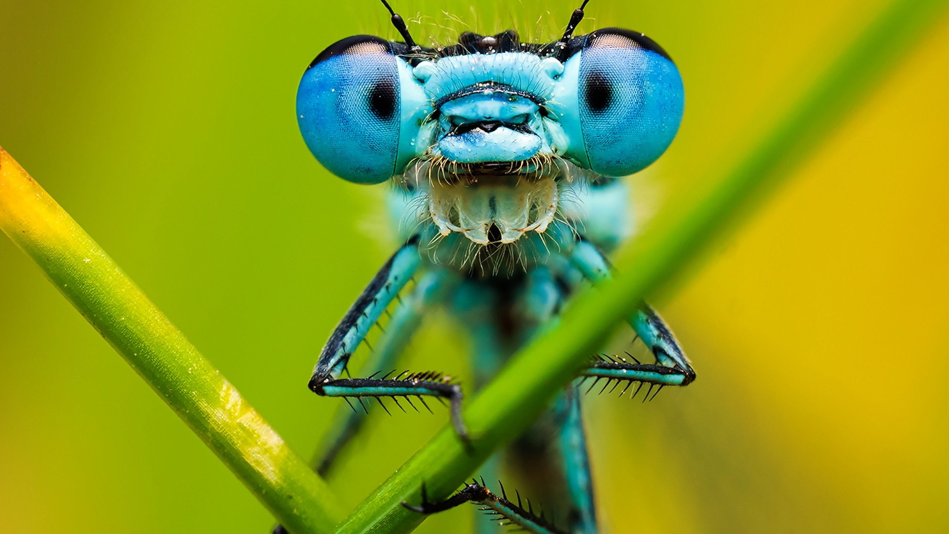 10 Different Photography Styles And Types To Try - Abirpothi