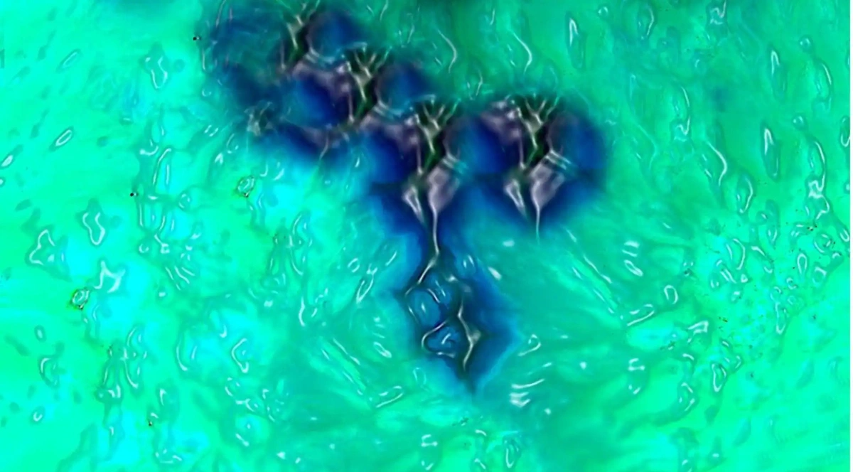 A Color Beyond Reality: Only Five Humans Have Ever Seen 'Olo'