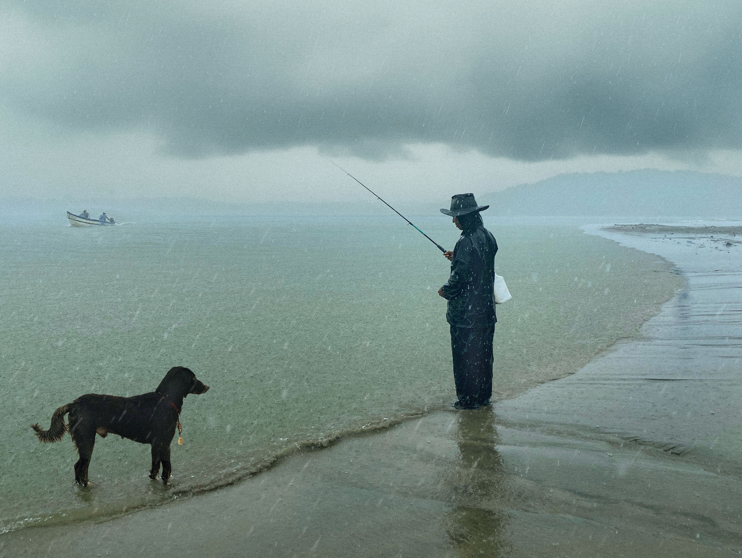 Finding Grace in Abandonment: Rohit Chawla's 'Rain Dogs' Captures the ...